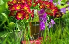 Парфумована вода для жінок Estee Lauder Beautiful 75 мл (027131086871 ...